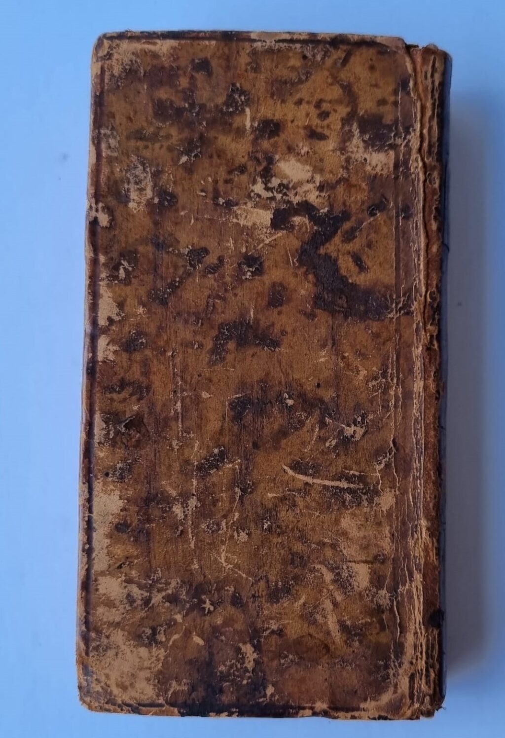 Caius Suetonius opera elzevier 1650